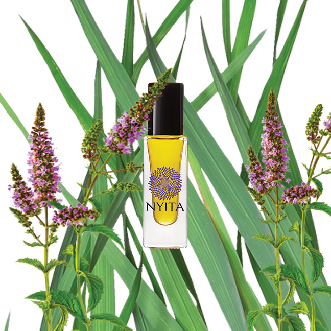 FIRST LIGHT | BATH & SHOWER SAMPLE – NYITA